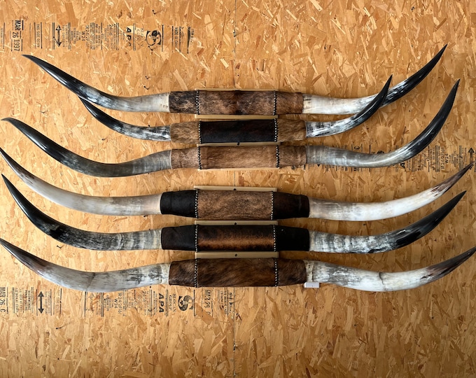 Mounted LONGHORN Steer Horn 6 FEET to 6 Feet 3 Inch Wide (ONE Only ...
