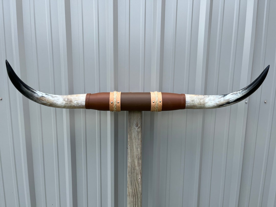 Mounted Steer Horn 4 Feet 2 Inch Wide Polished Cow Horns Bull Western ...