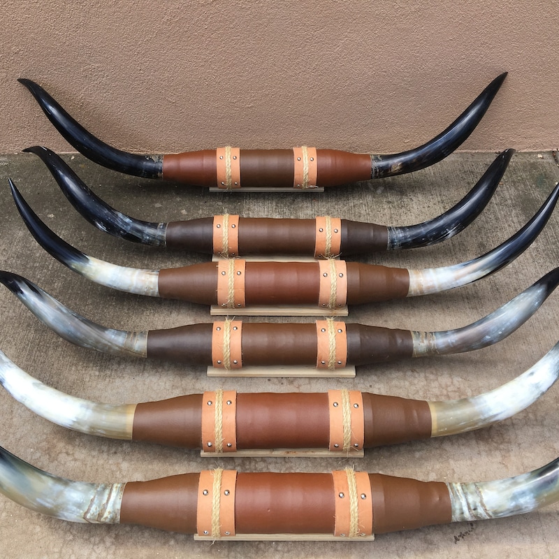 Mounts for Cow Horns - Etsy