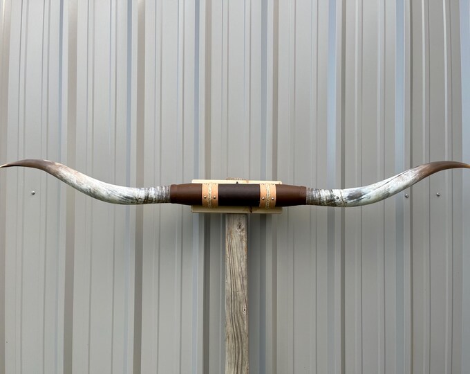 Mounted Steer Horn 6 Feet 1" Wide Polished Cow Horns Bull Western ...