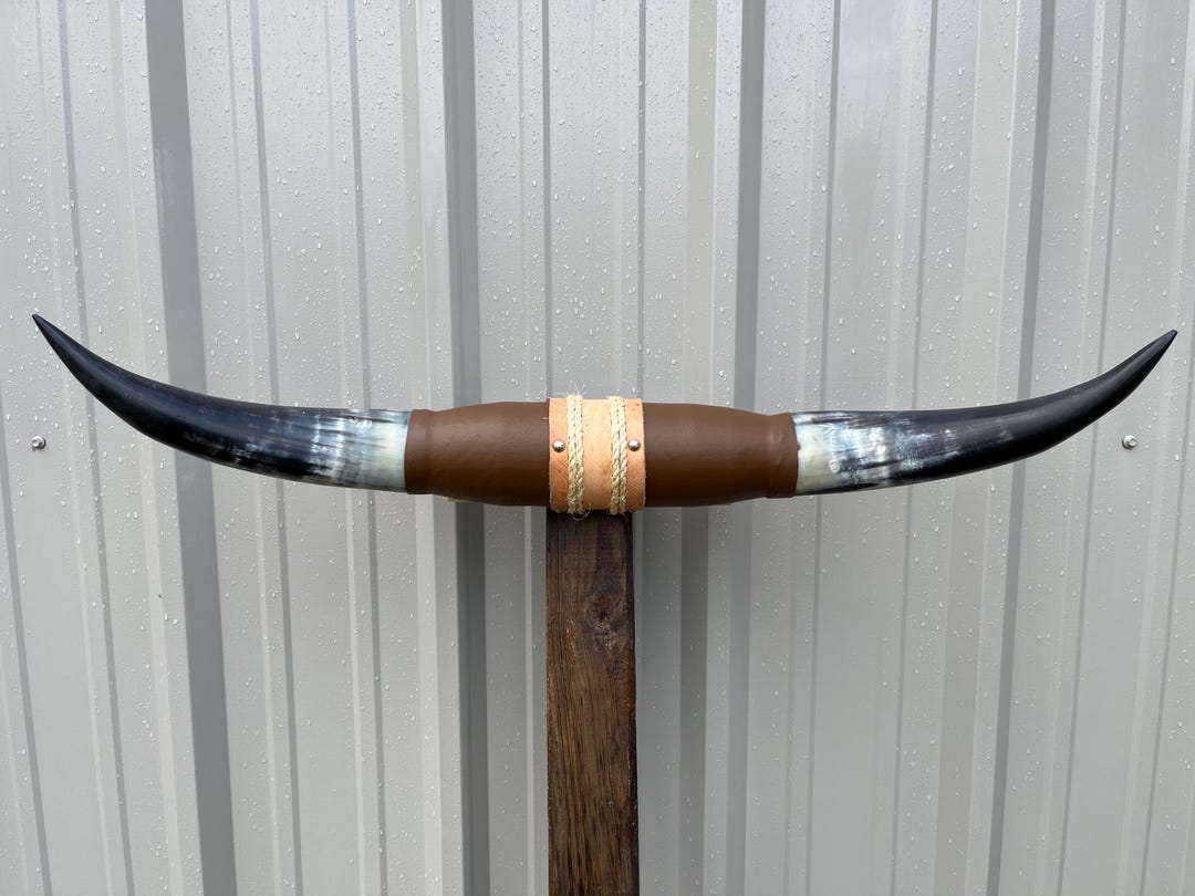 Mounted Steer Horn 3 Feet 1/2 Inches WIDE Polished Cow Horns Bull ...