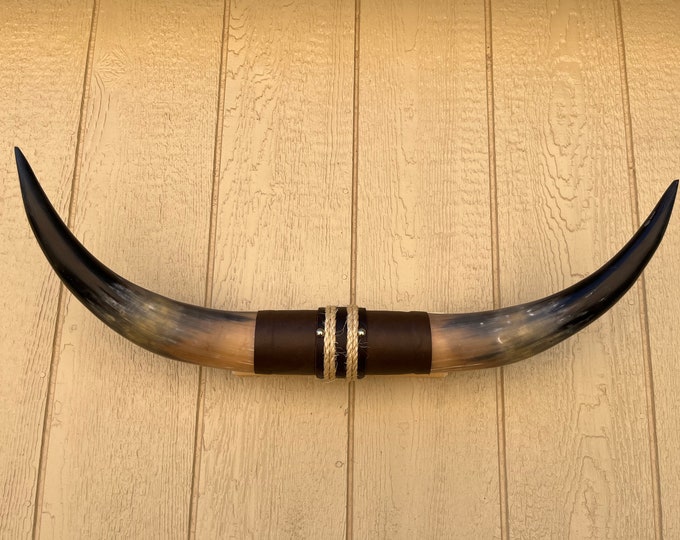 Mounted Steer Horn 30” Polished Cow Horns Bull Western Decoration - Etsy