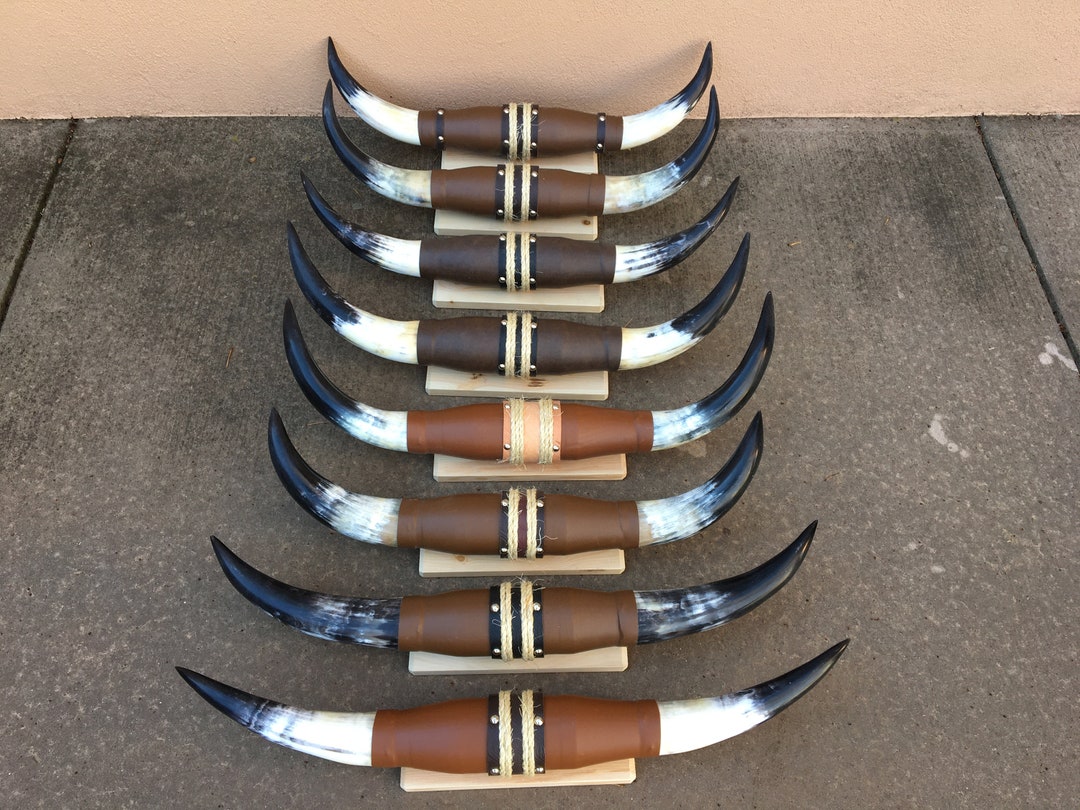 Mounted Steer Horn Pair (one Only) 30" TO 35" WIDE Polished Cow Horns ...