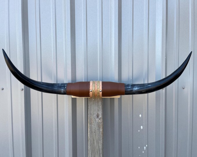 Mounted Steer Horn 3 Feet Inch Wide Polished Cow Horns Bull Western ...