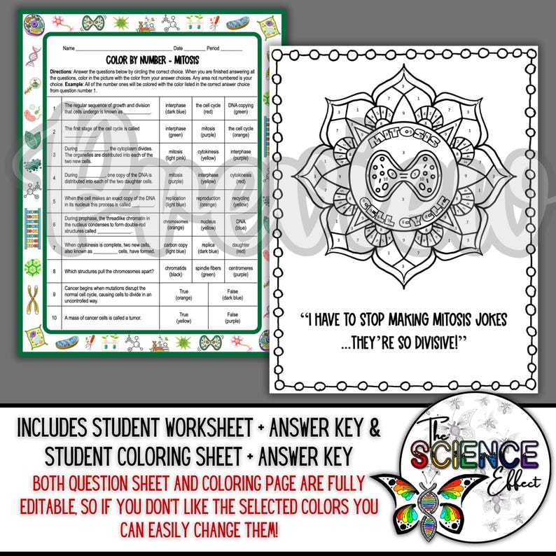 Mitosis Color by Number Worksheet: Biology Science Activity (PDF & PPT ...
