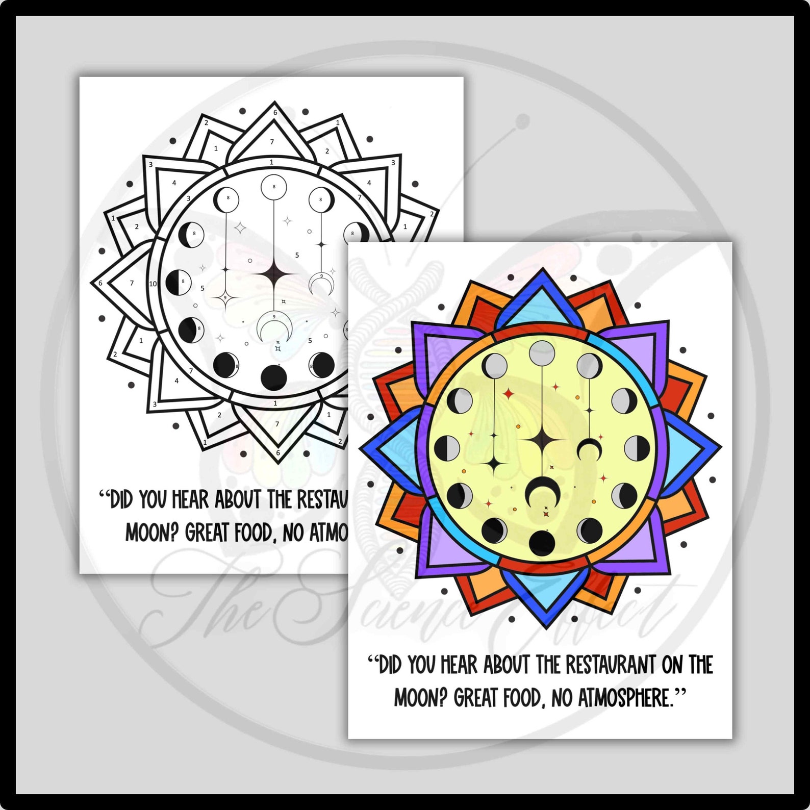 Moon Phases Color by Number Worksheet: Lunar Cycle Science Activity ...