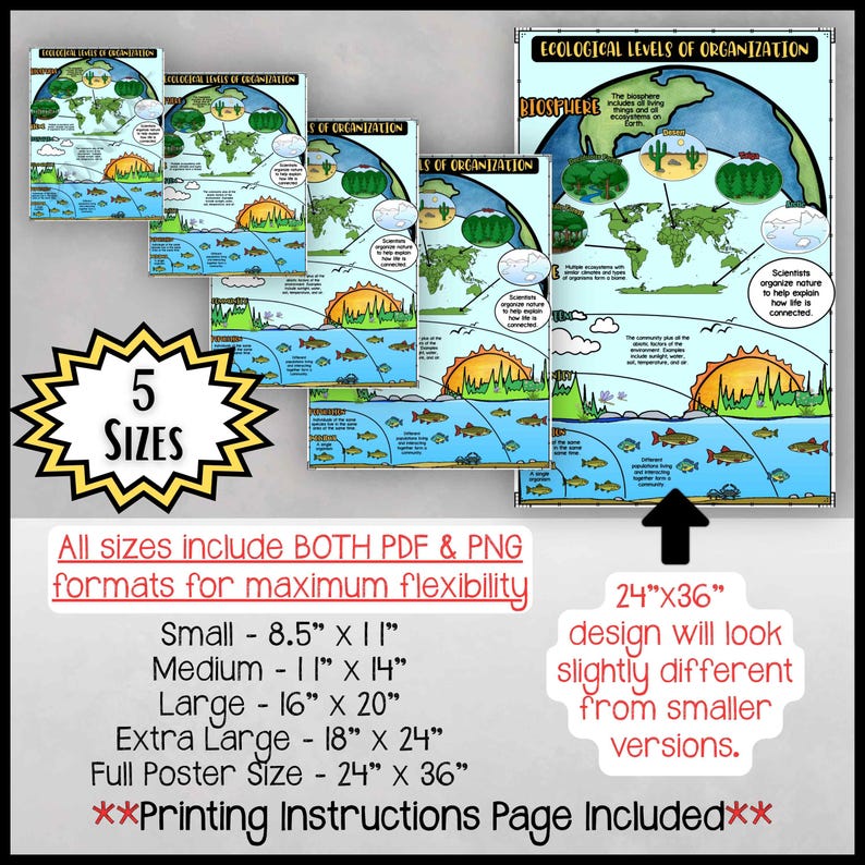 Ecological Levels of Organization Poster | Ecosystem, Biome, Biosphere ...