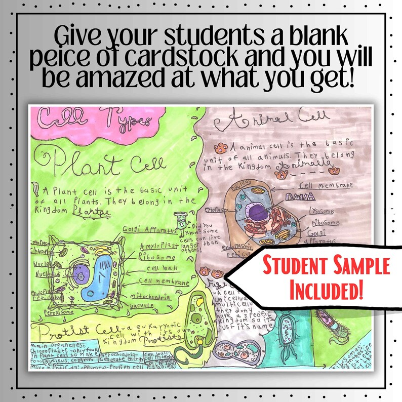 Cell Types One Pager Project: Science Research (PDF & PPT) - Etsy