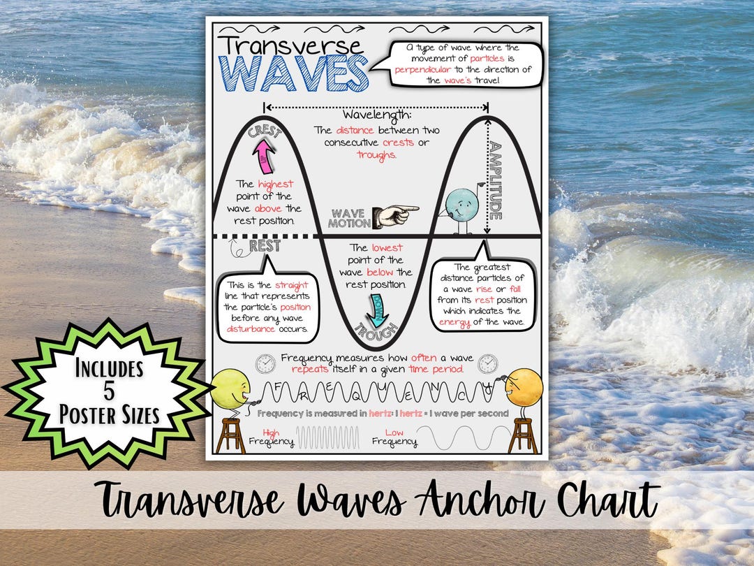 Transverse Waves Poster | Wave Properties Anchor Chart | Physics ...