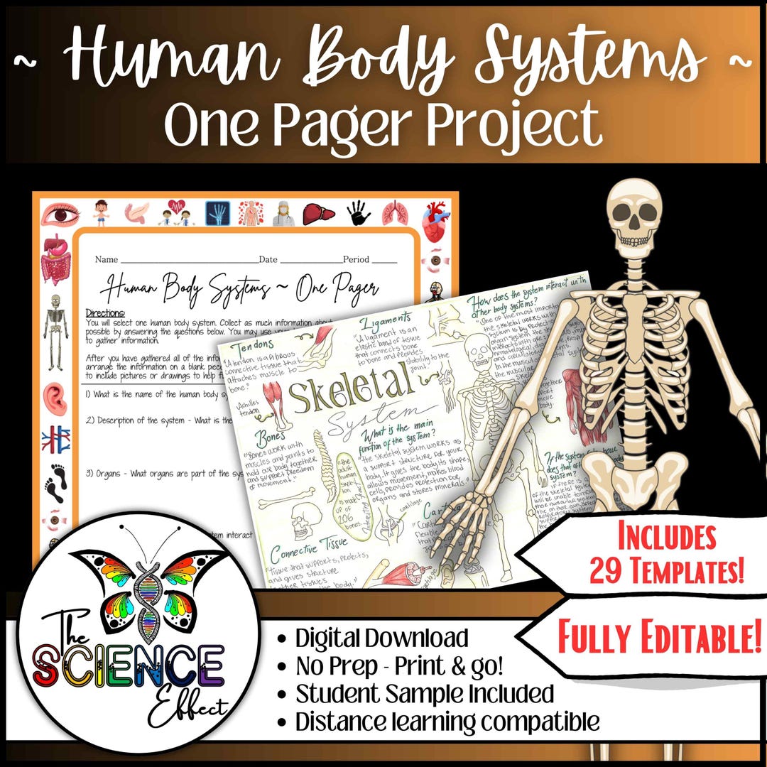 Human Body Systems One Pager Project: Science Research (PDF & PPT) - Etsy