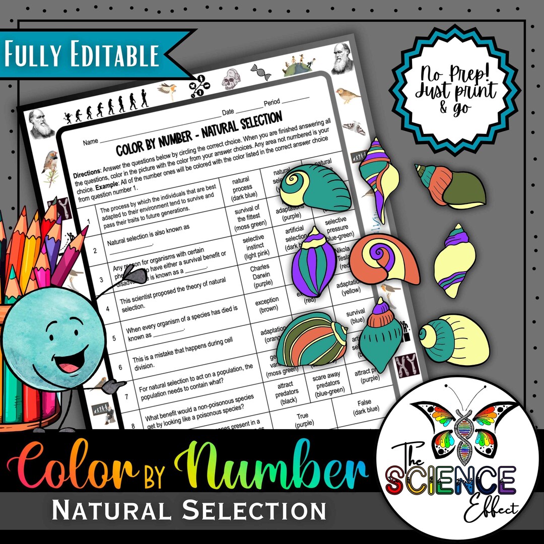 Biology Color by Number Worksheet: Natural Selection Science Activity ...