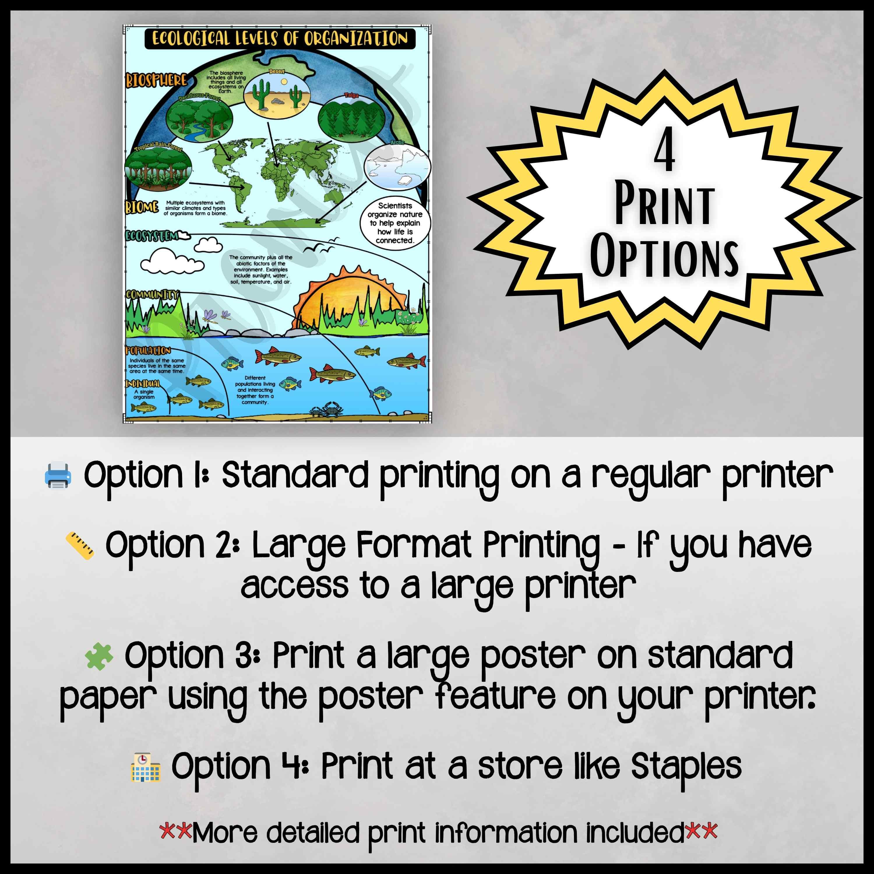 Ecological Levels of Organization Poster | Ecosystem, Biome, Biosphere ...