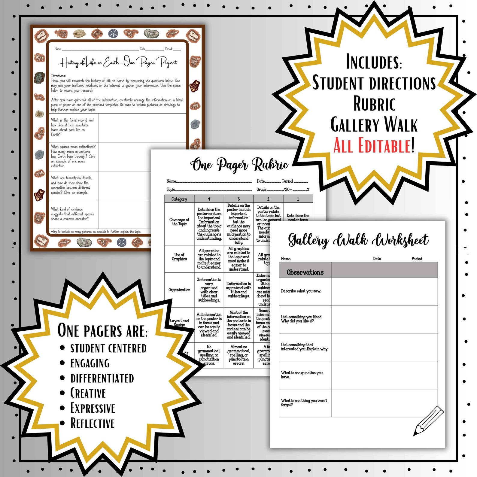 History of Life on Earth One Pager Project (PDF & PPT) - Etsy