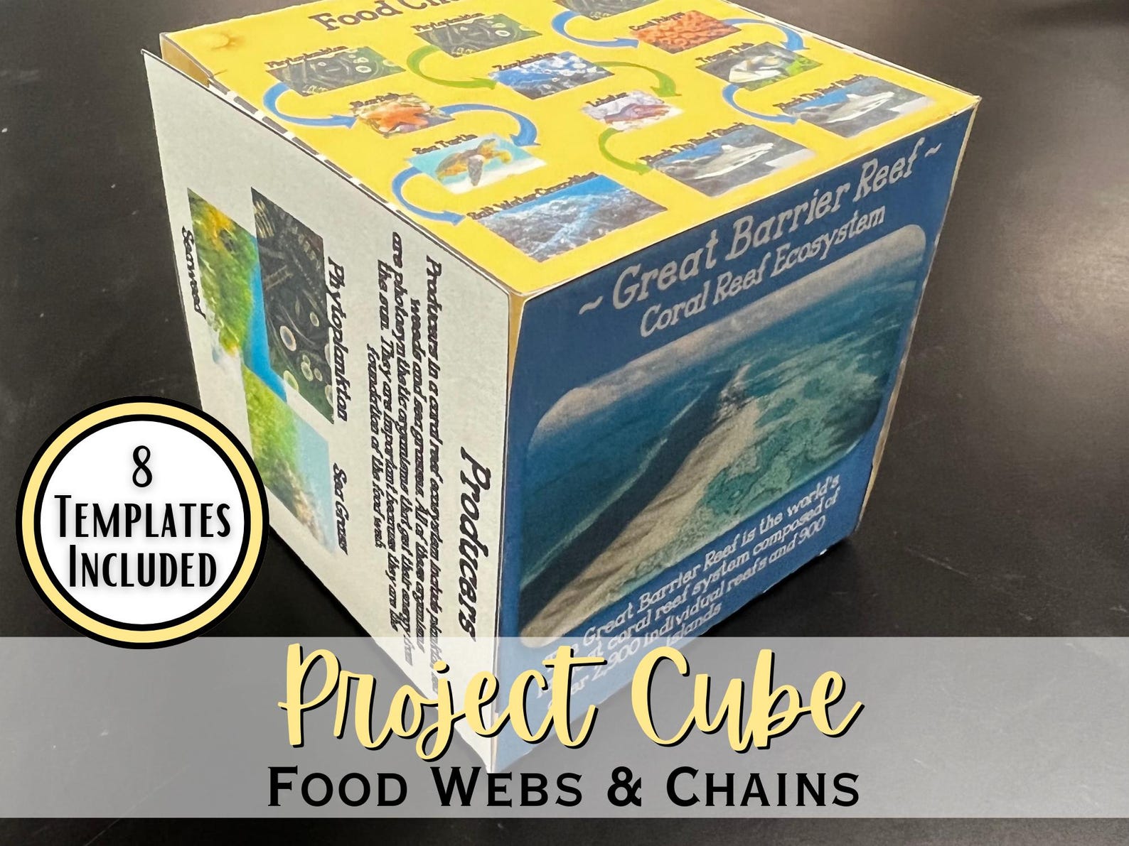 Food Webs & Chains Project Cube: Middle School Science (digital ...