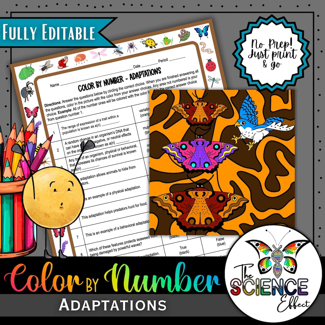 Adaptations Color by Number Worksheet: Science Review (PDF & PPT) - Etsy
