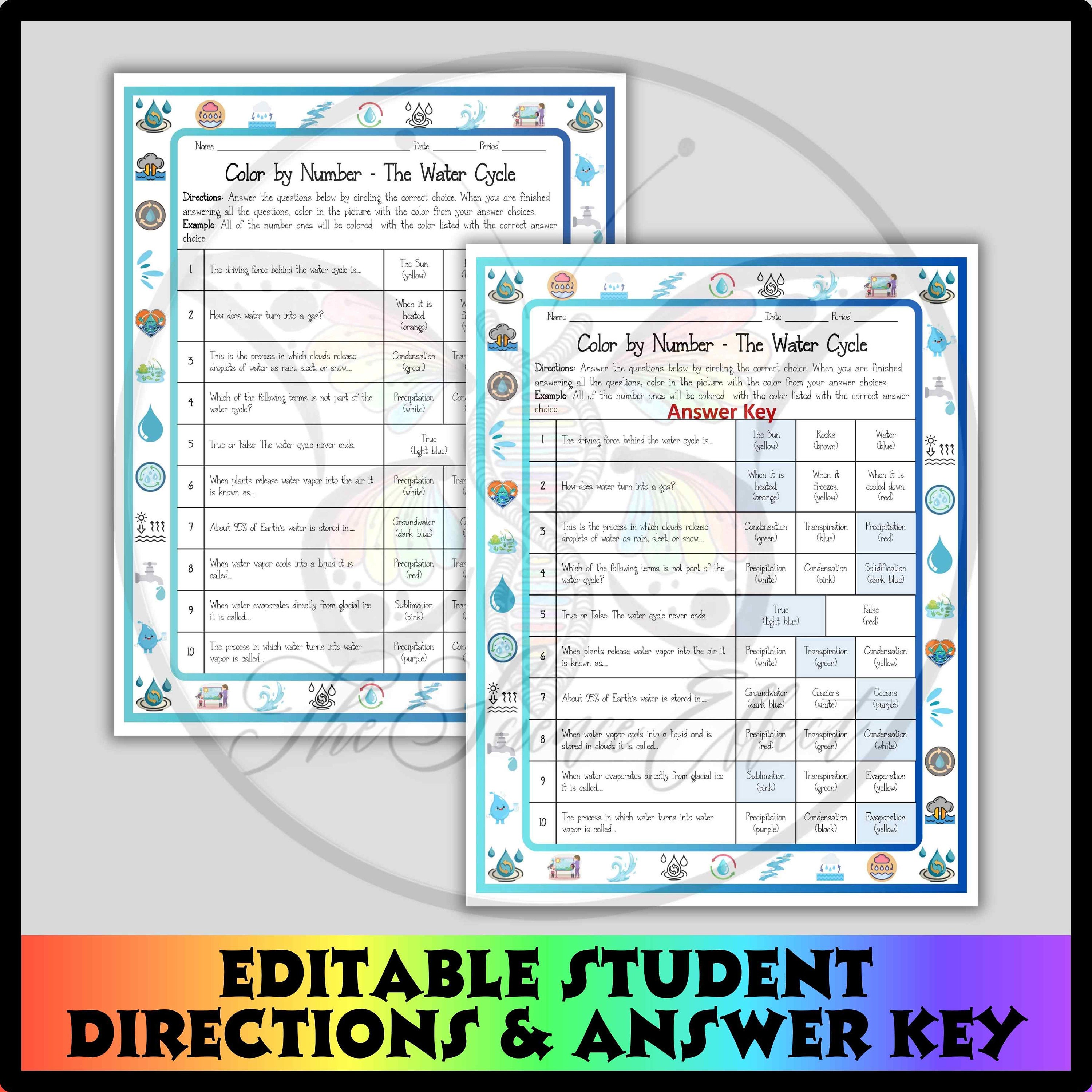 Water Cycle Color by Number Worksheet: Science Activity (PDF & PPT) - Etsy