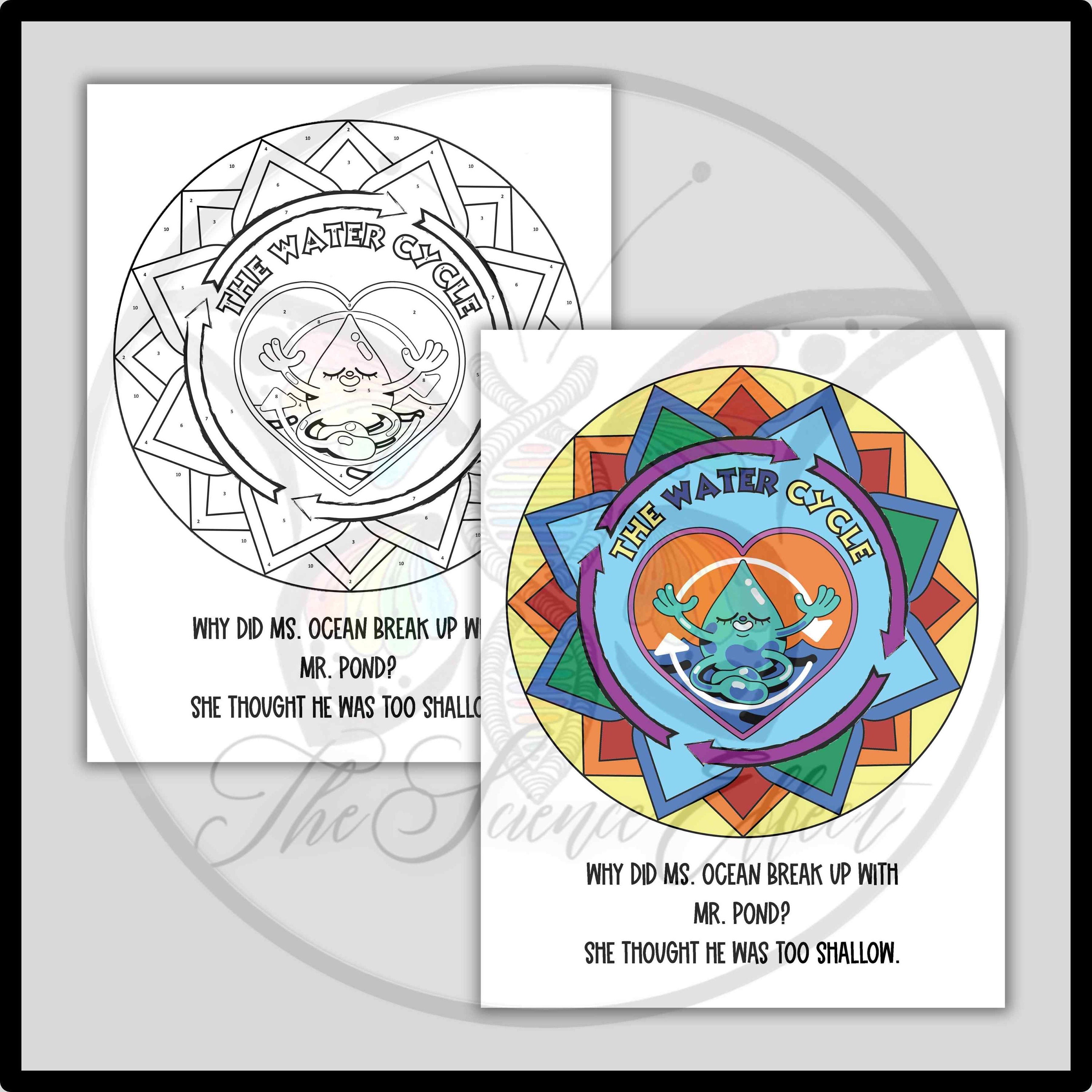 Water Cycle Color by Number Worksheet: Science Activity (PDF & PPT) - Etsy