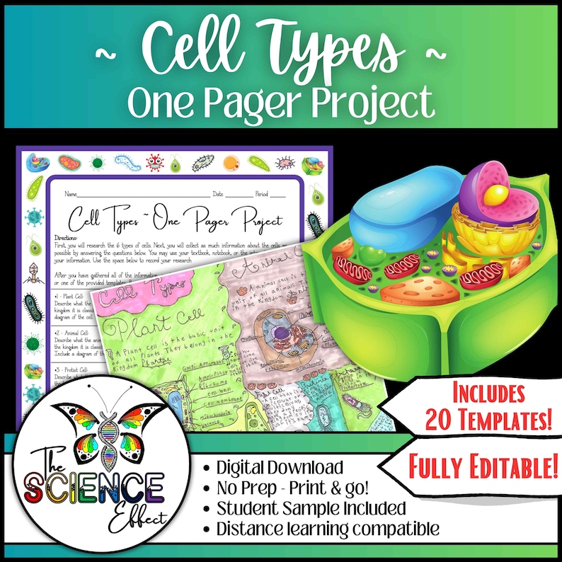 Cell Types One Pager Project: Science Research (PDF & PPT) - Etsy