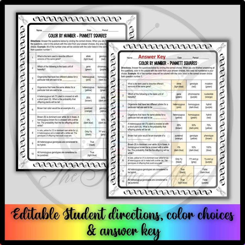 Punnett Square Color by Number: Biology Worksheet (PDF & PPT) - Etsy