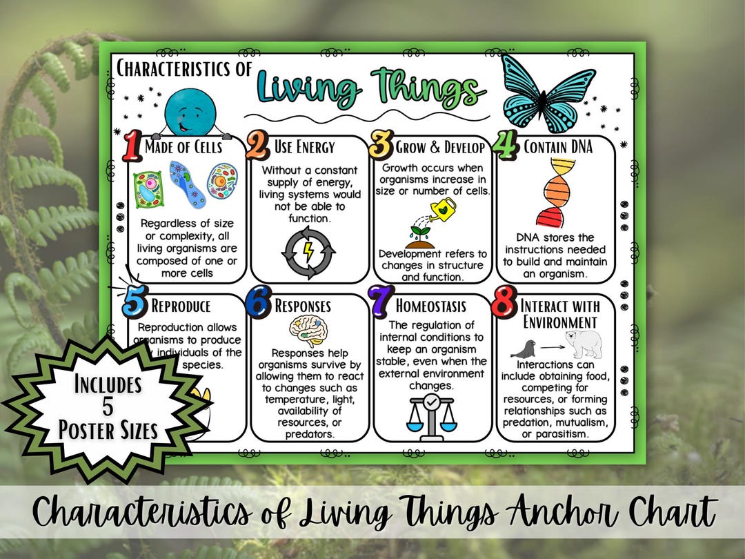 Characteristics of Living Things Poster | 8 Life Processes Anchor Chart ...