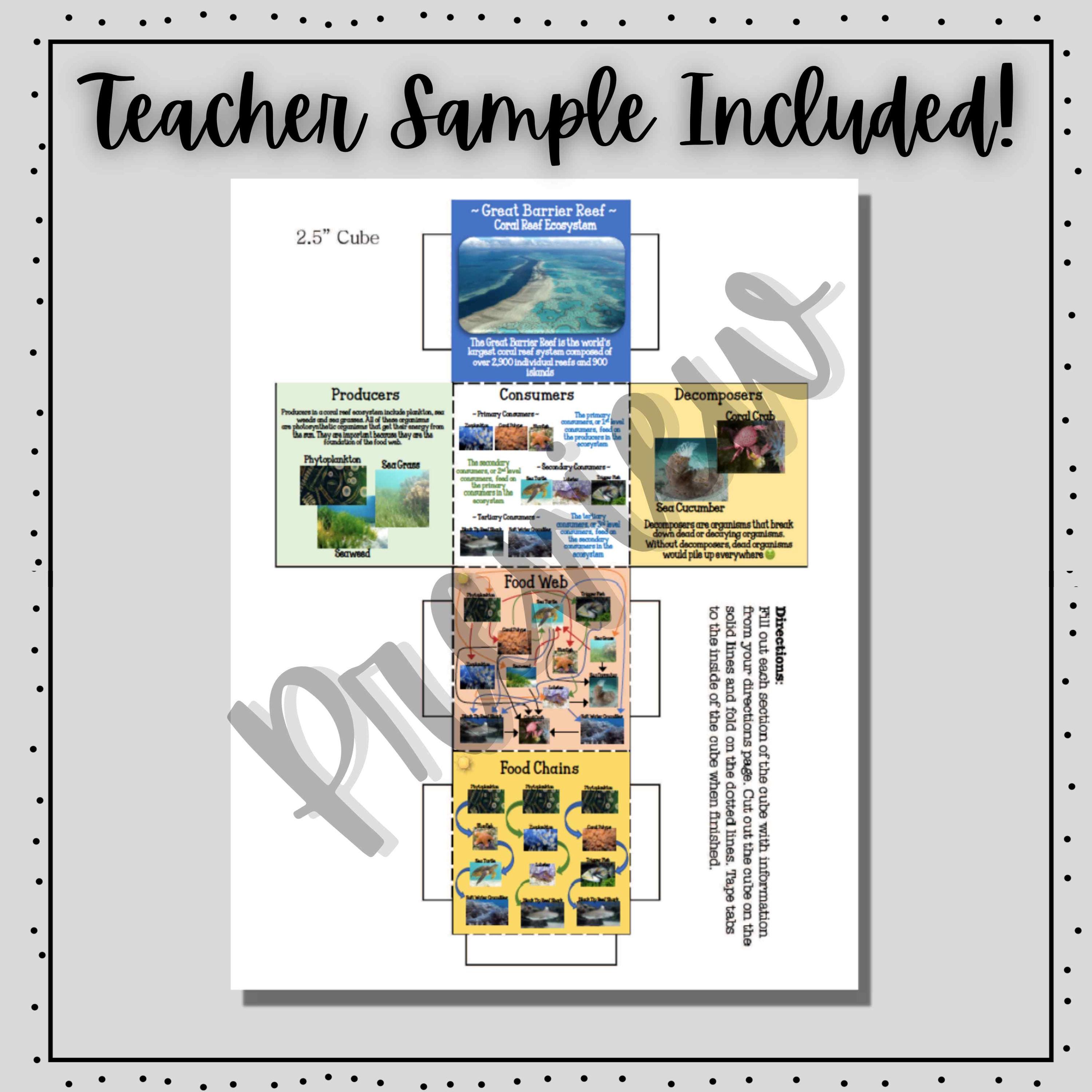 Food Webs & Chains Project Cube: Middle School Science (digital ...