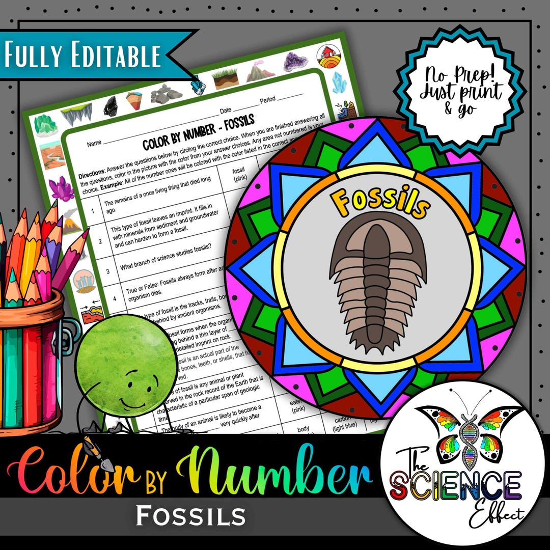 Fossils Color by Number Worksheet: Science Activity (PDF & PPT) - Etsy UK