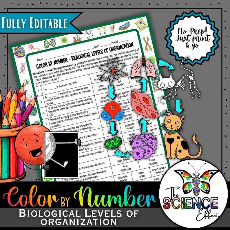 Biology Color by Number Worksheet: Biological Levels of Organization ...