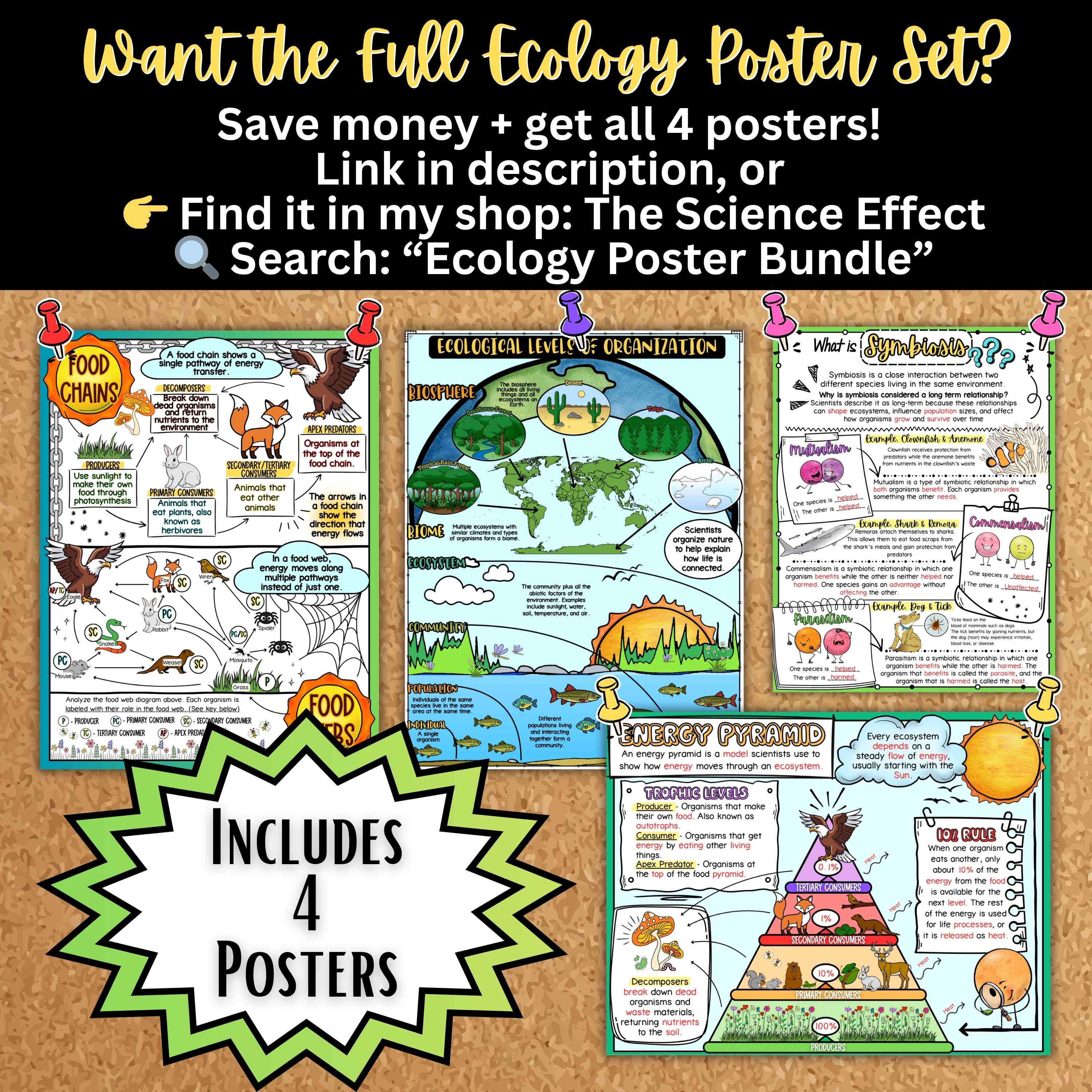 Food Chains Food Webs Poster | Energy Flow, Producers, Consumers Anchor ...