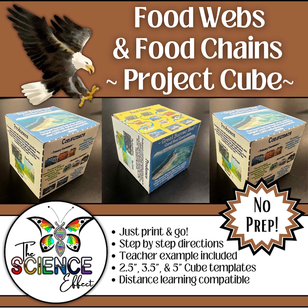 Food Webs & Chains Project Cube: Middle School Science (digital ...