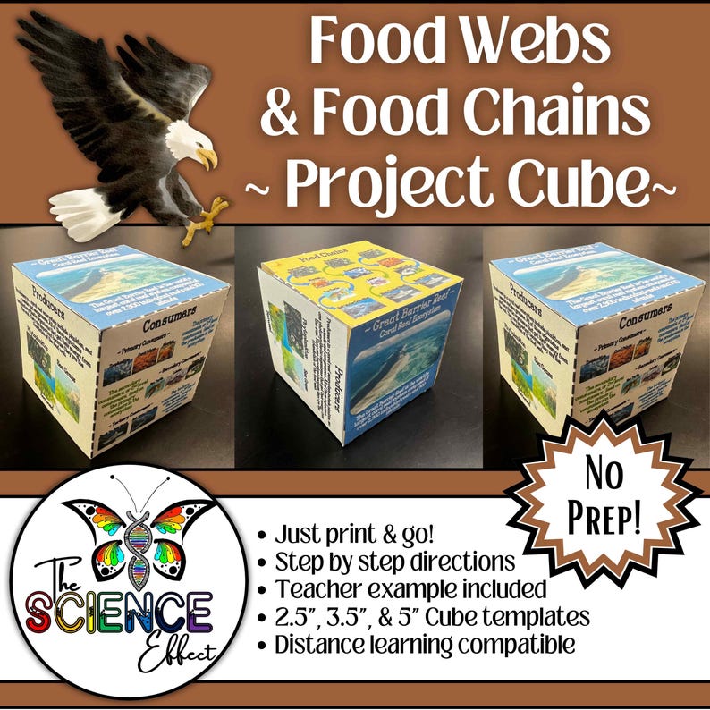 Food Webs & Chains Project Cube: Middle School Science (digital ...