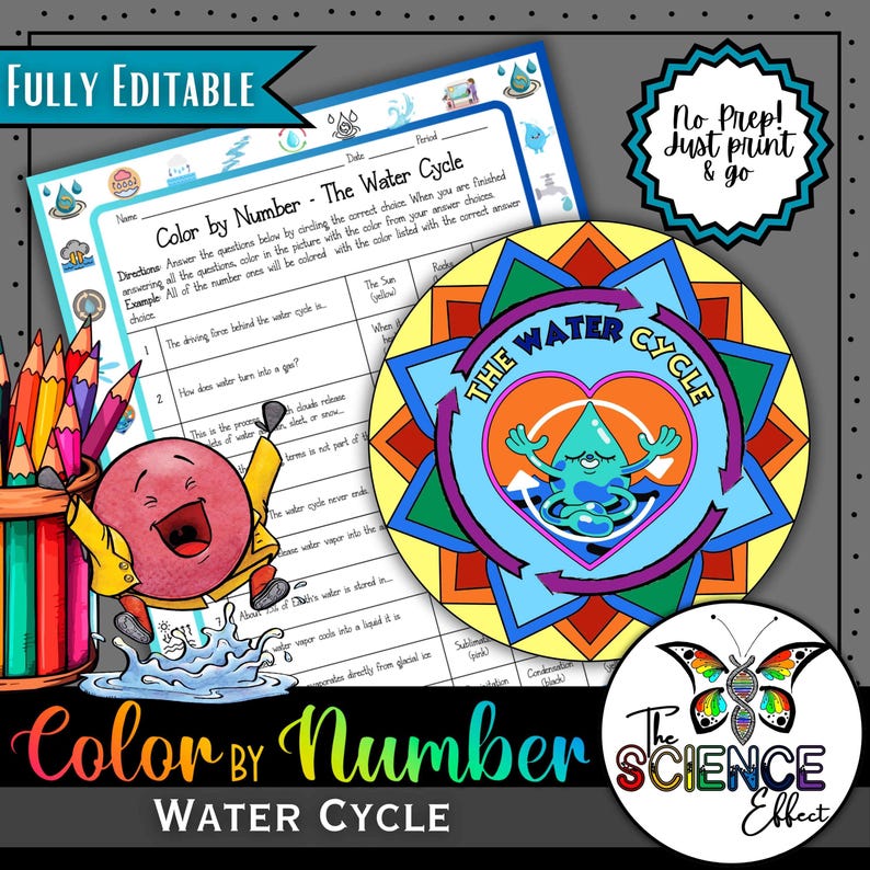 Water Cycle Color by Number Worksheet: Science Activity (PDF & PPT) - Etsy