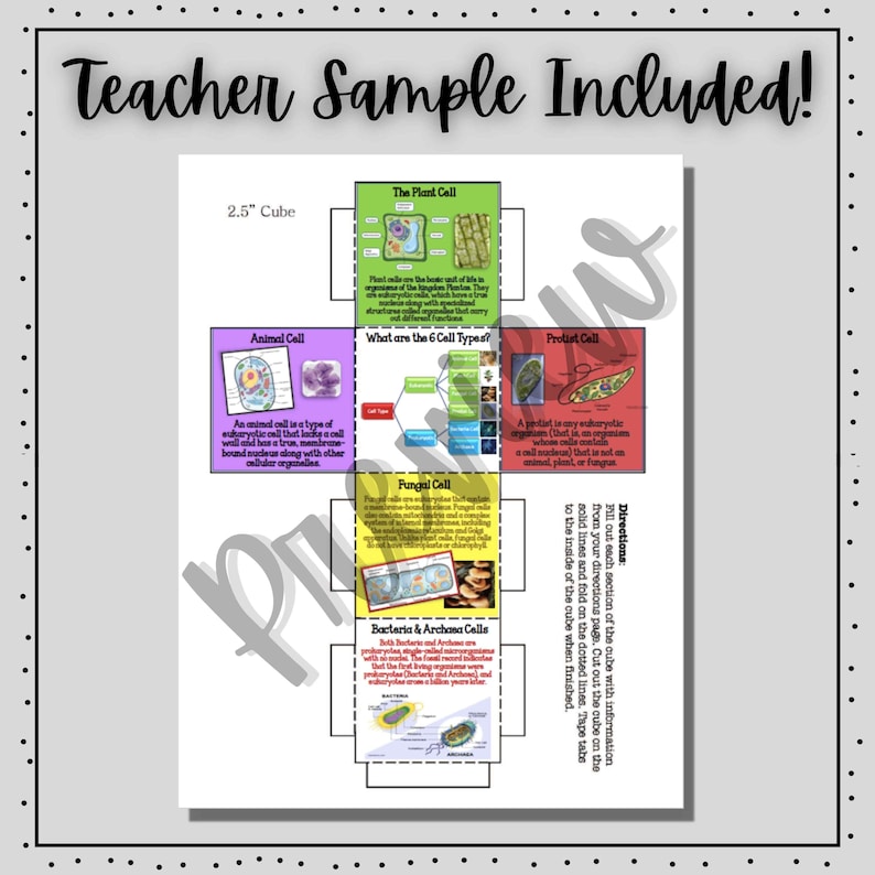 Cell Types 3D Research Project Cube | Middle School Science Project ...