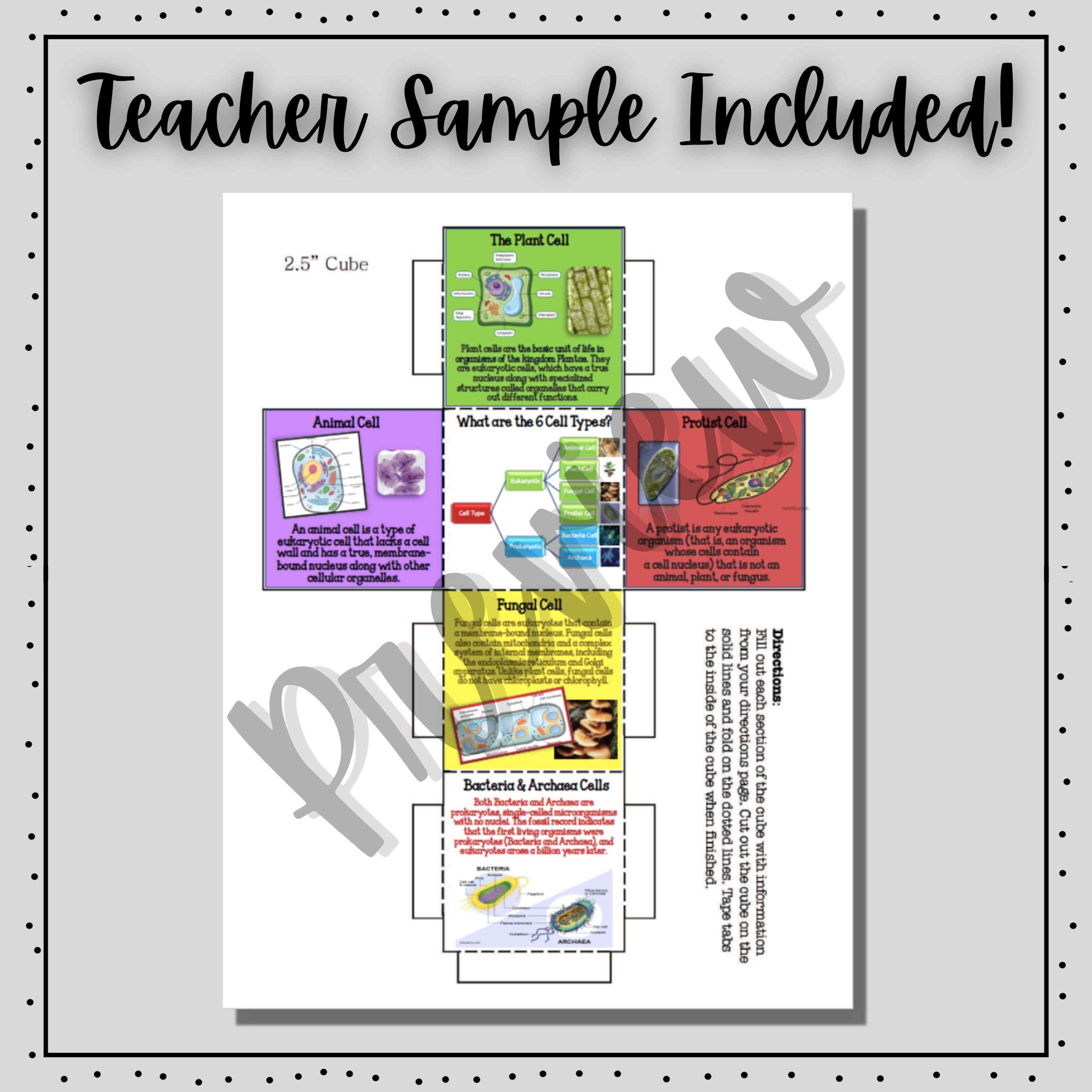 Cell Types 3D Research Project Cube | Middle School Science Project ...