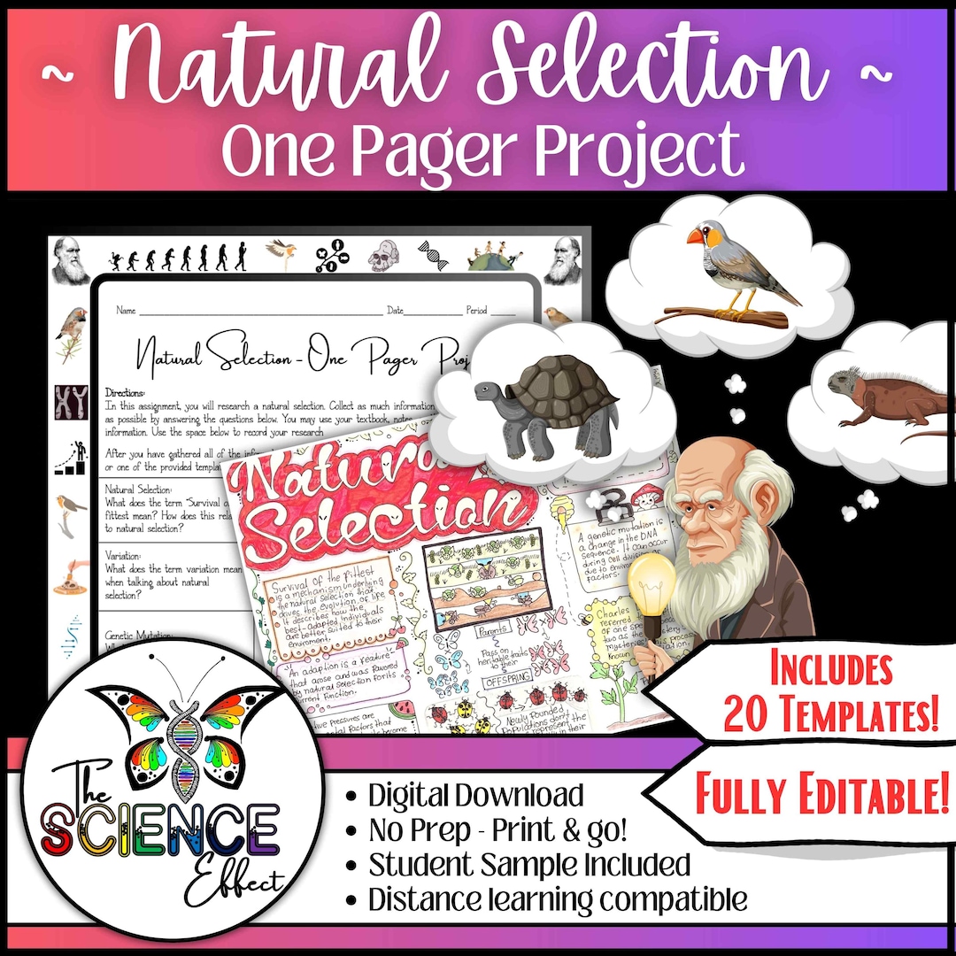 Natural Selection One Pager Project: Science Research (PDF & PPT) - Etsy