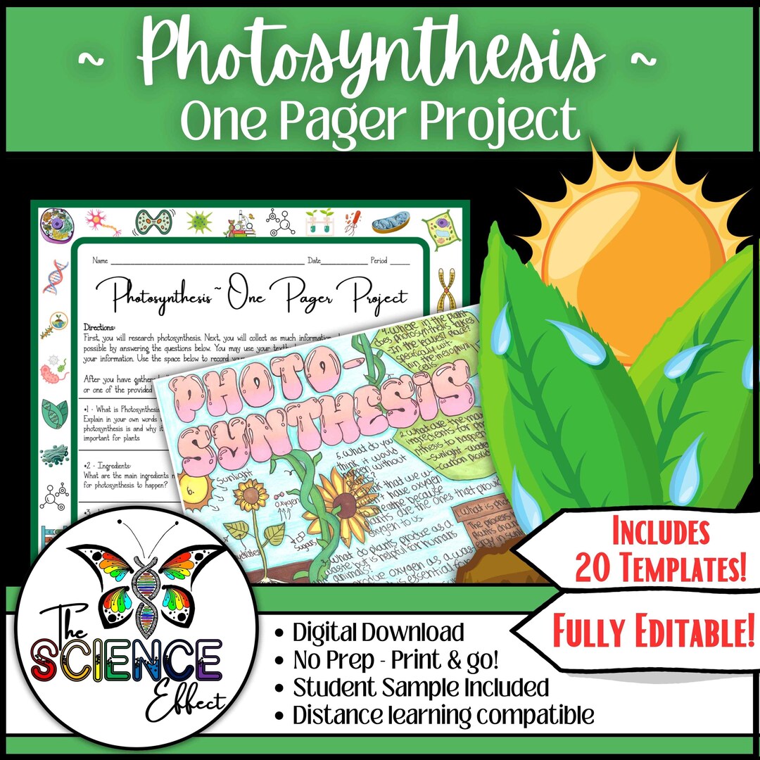 Photosynthesis One Pager Project: Science Research (digital Download ...