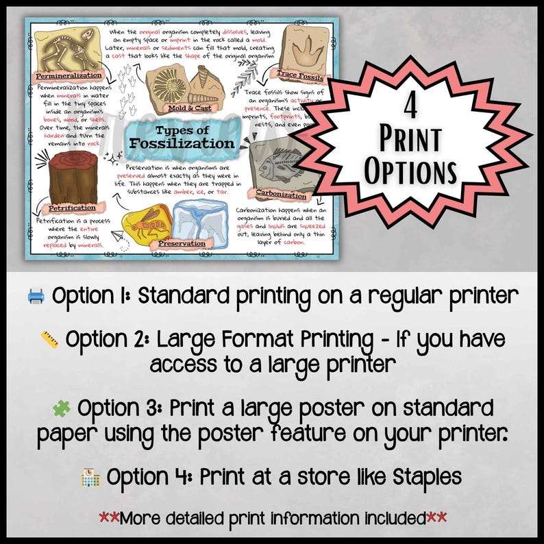 Fossilization Anchor Chart Poster | Types of Fossils Science Poster ...