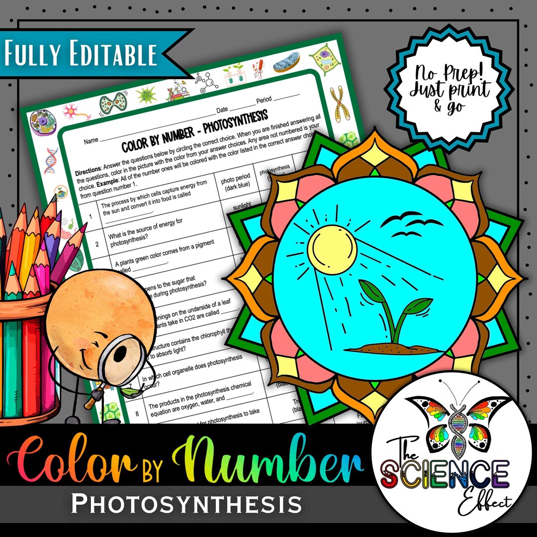 Photosynthesis Color by Number: Science Worksheet (PDF & PPT) - Etsy