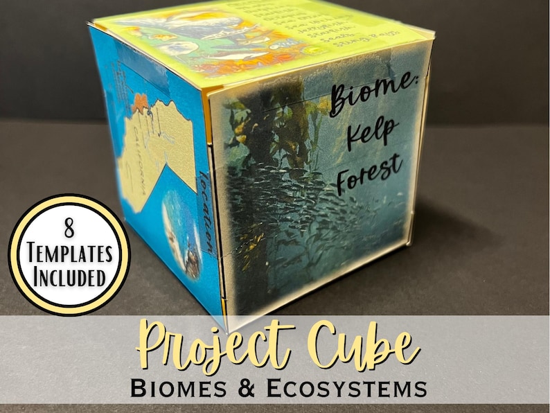 Biomes 3D Research Project Cube | Middle School Science Project ...