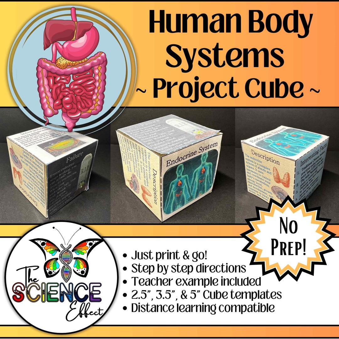 Human Body Systems 3D Research Project Cube | Middle School Science ...