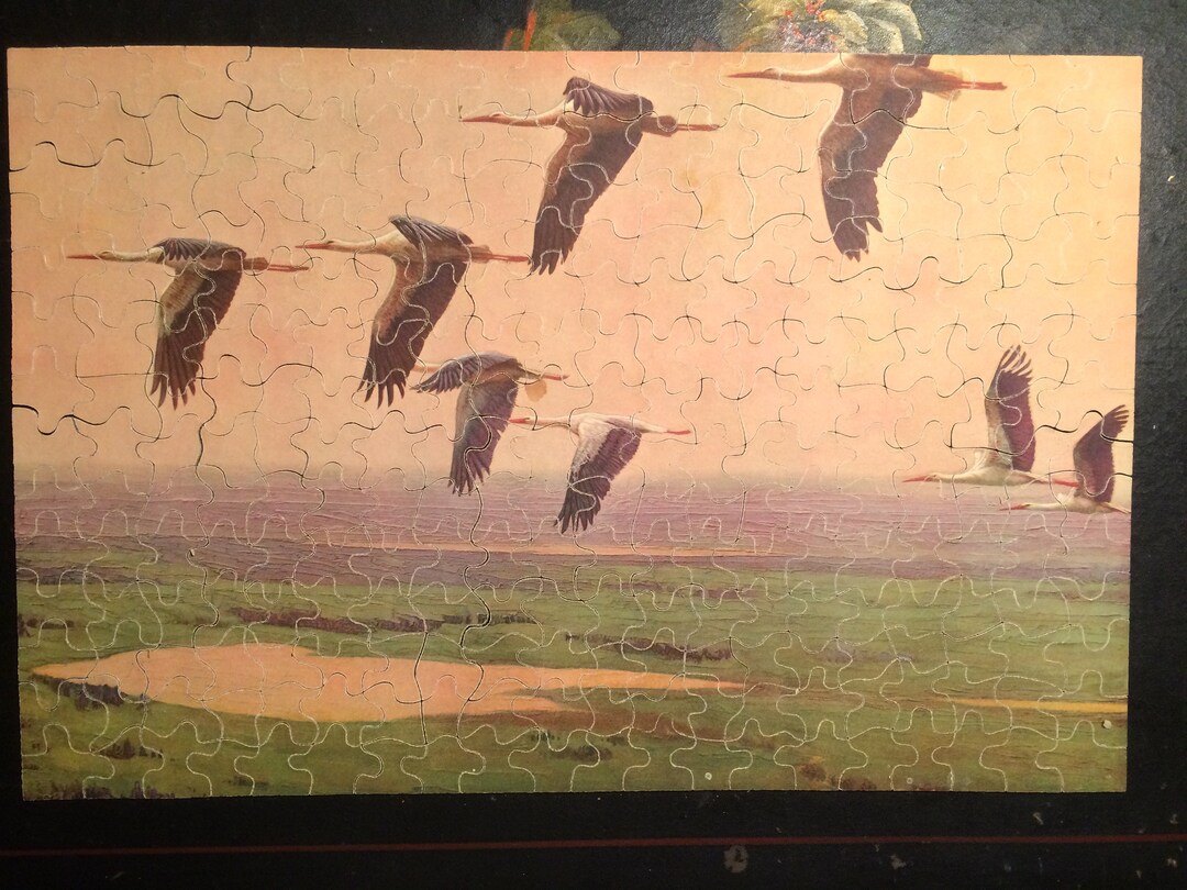 Perfect Picture Puzzle — Herons – Complete - Etsy