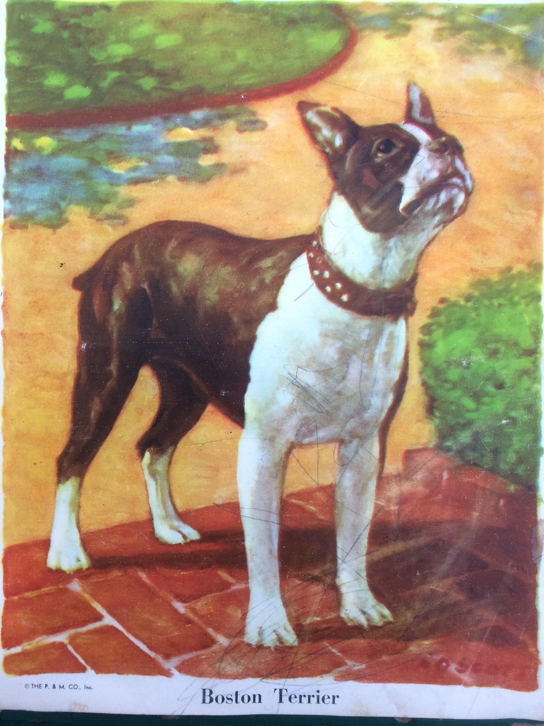 Vintage Dog Book in Linen With Beautiful Illustrations, Dog Friends - Etsy