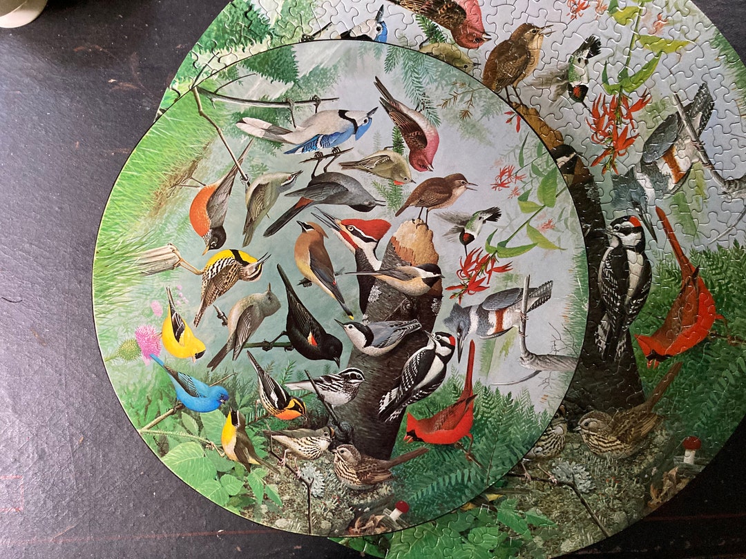 Vintage Circular Springbok Puzzle–familiar Birds–complete - Etsy