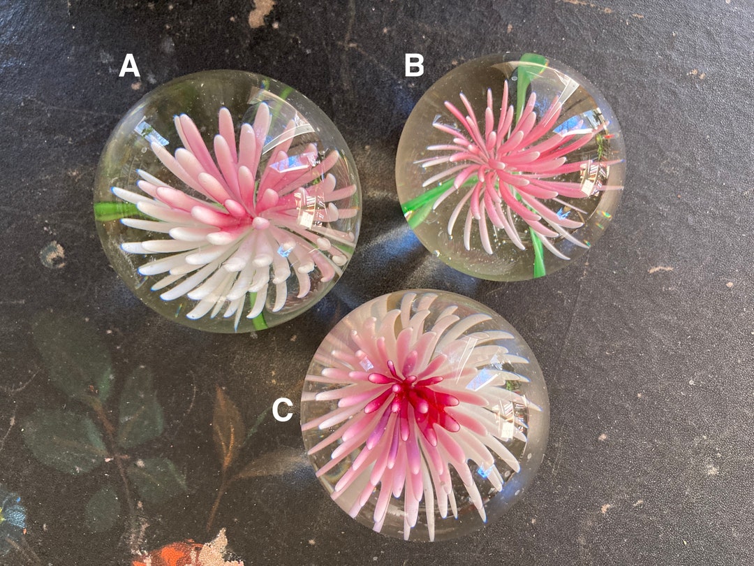 Clear Art Glass Orbs With Pink and White Flowers Inside, Your Choice - Etsy