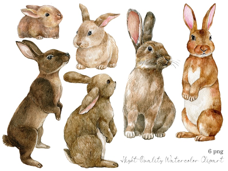 Watercolor Bunny Clipart Brown Easter Rabbit Set Spring | Etsy
