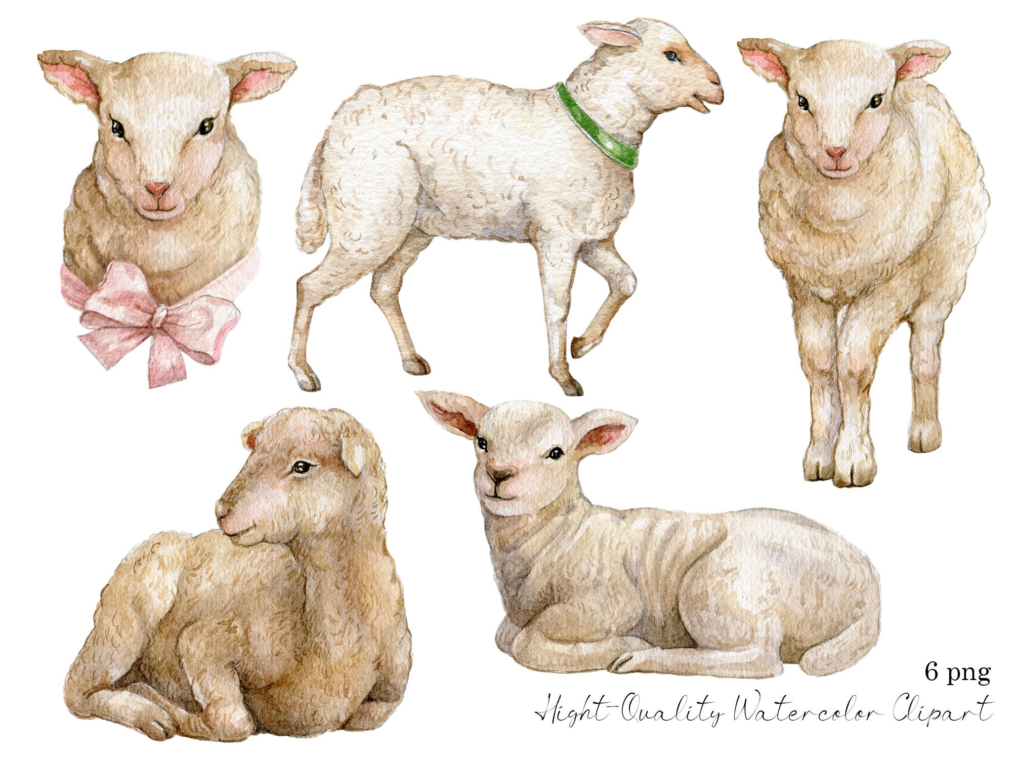 Watercolor Lamb Clipart, White Sheep Illustration,cute Easter Lamb ...