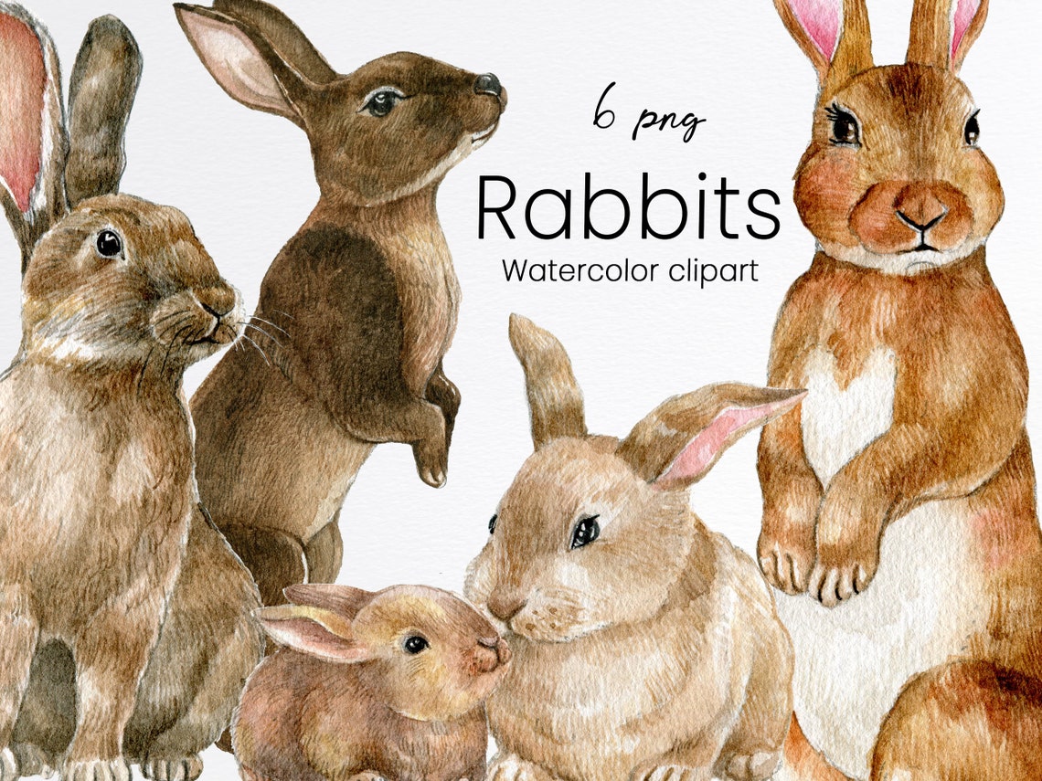 Watercolor Bunny Clipart Brown Easter Rabbit Set Spring | Etsy