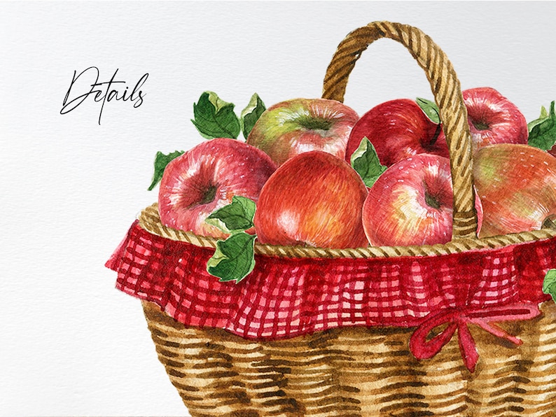 Watercolor Red Apple Clipartapple Garden Harvestfall Decor - Etsy