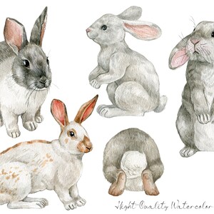 Watercolor Bunny Clipart, White Easter Rabbit Set, Spring Bunny, Cute ...