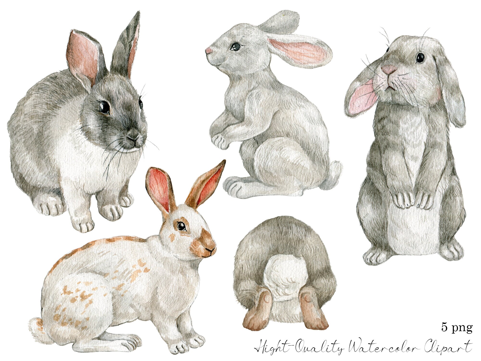 Watercolor Bunny Clipart White Easter Rabbit Set Spring - Etsy