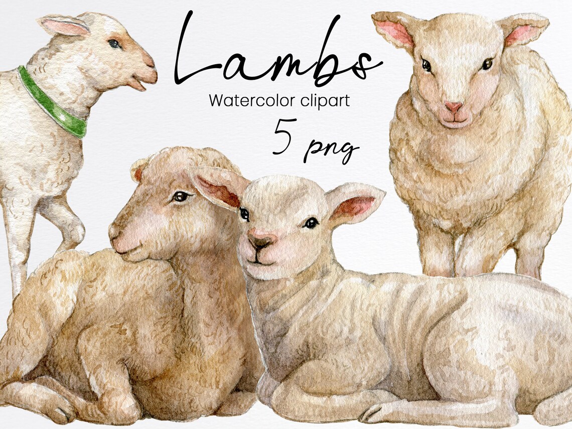 Watercolor Lamb Clipart, White Sheep Illustration,cute Easter Lamb ...